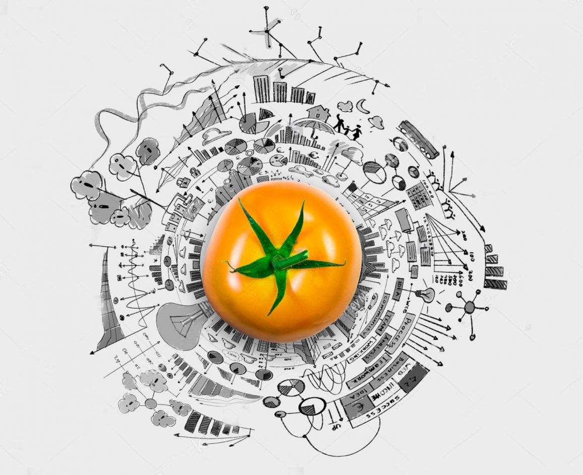 Kitchen Design - Bespoke Culinary Management